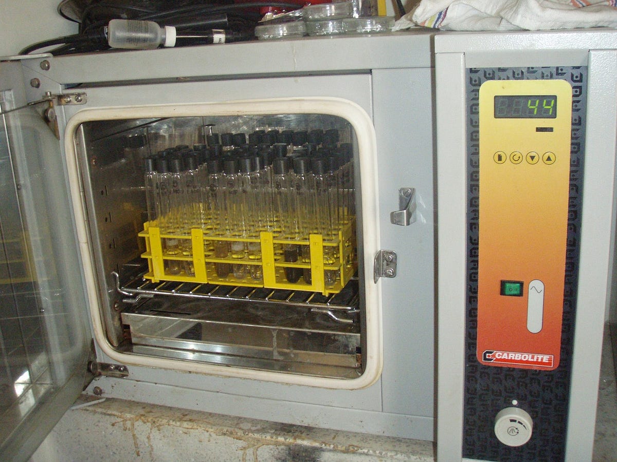 Different Types Of Incubators | by Sciendtech | Dec, 2023 | Medium