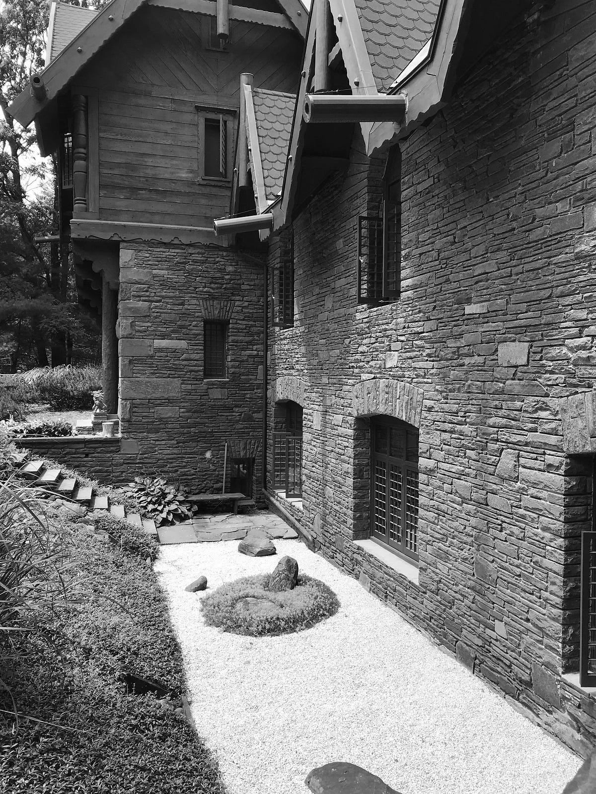 Advice from a Bat. Michael Young. Hunt only at night. Fly erratically ...