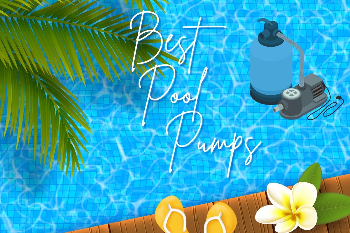 Top 3 Best Pool Pumps for Energy Efficiency and Performance | Best & Top