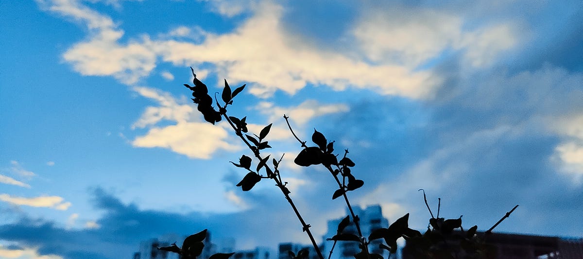 Photography: The Art of Freezing Moments | by Abhay Mahajan | Nov, 2024 ...