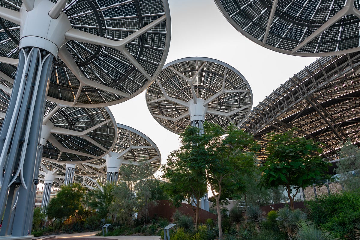Unleashing the Potential of Scalable Sustainability: Investing in the ...