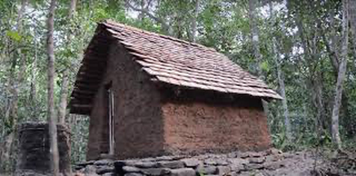 Chapter 7 — Small Dying House. On the day Aweni was born, her mother ...