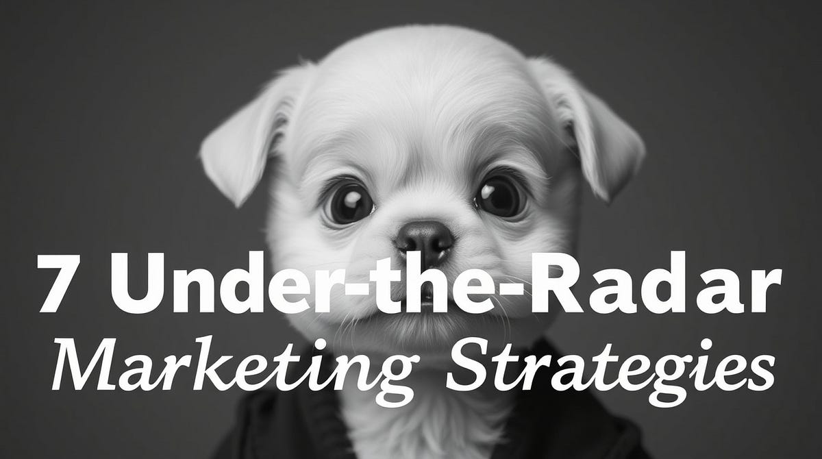 7 Under-the-Radar Marketing Strategies Successful Self-Published ...