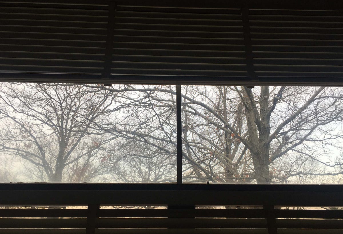 Trench Diary — September 1917ish - The Lark - Medium