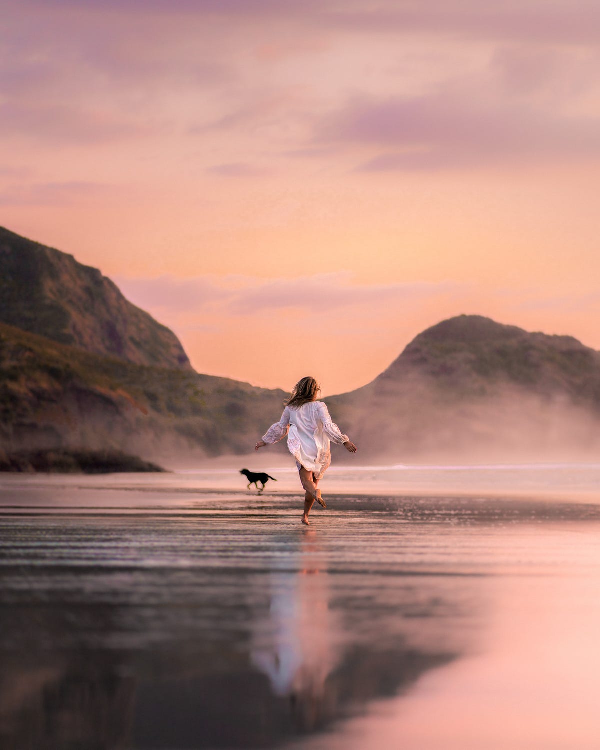 Which skills you should develop to become a professional creator | by ...