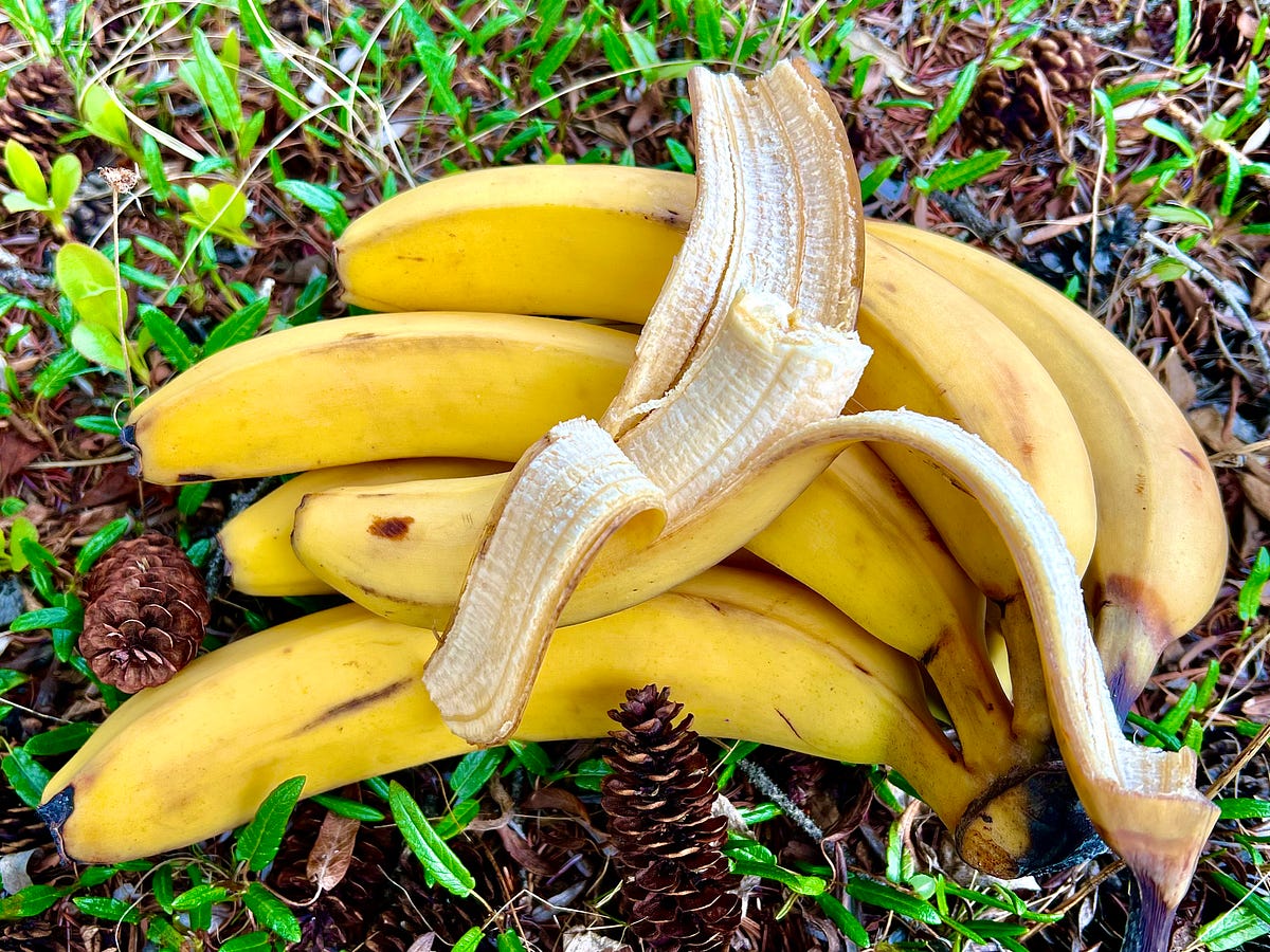 Bananas, Why Not Eat Them?. There are times I find it best to delay ...