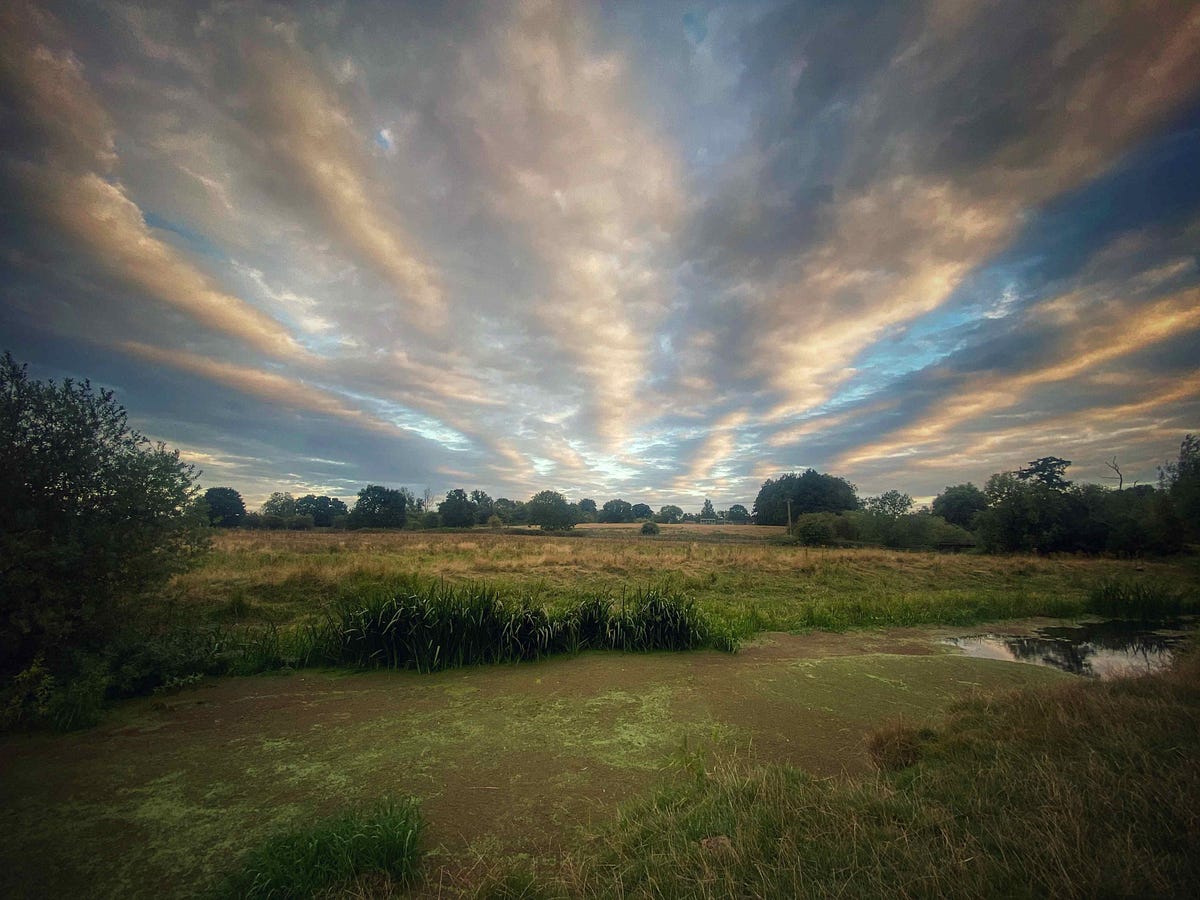 Marston Marshes — On the Edge of Norwich. | by Petra Kidd | Tourist in ...