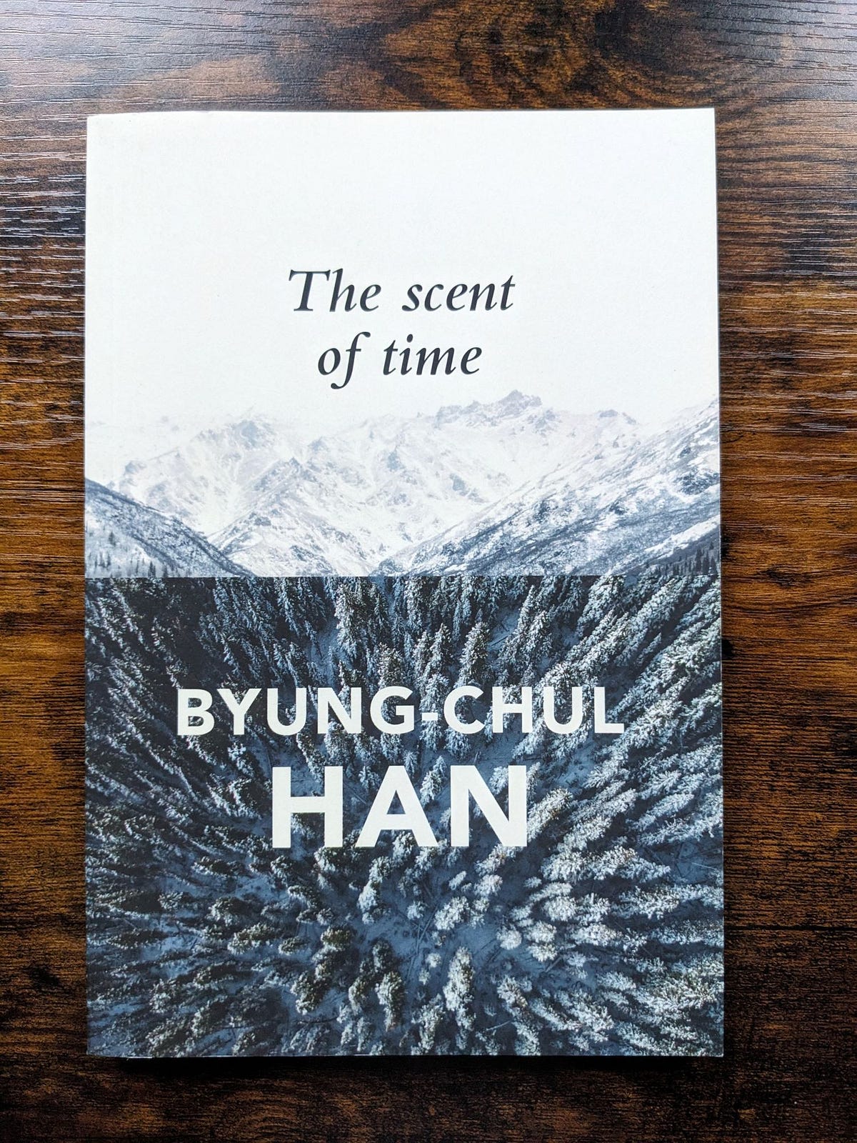 “The Scent of Time”. My Second Book into Byung-Chul Han’s… | by Trevor ...