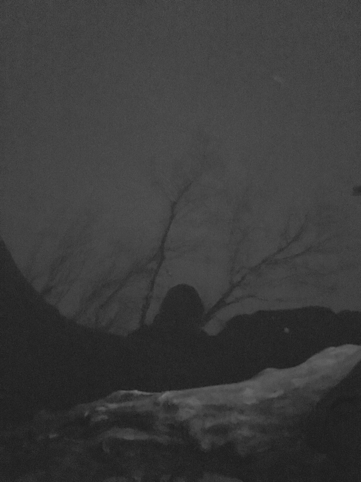Sometime between 12:XX and 1:12 AM | by Lucy Stevens | Medium