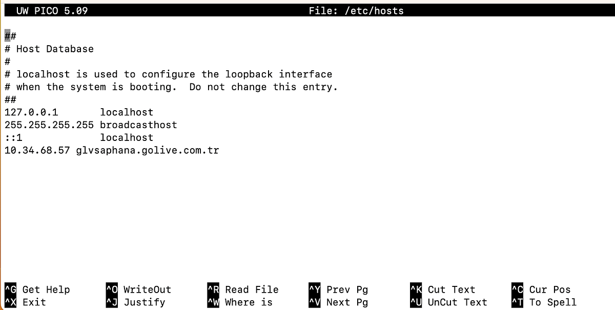 Opening Fiori Launchpad with Transaction Code /UI2/FLP via Hosts File Modification | by Uzeyr ...
