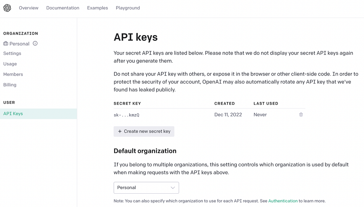 Build Your Own AI Bot — A Child’s Play — Making OpenAPI API Calls — A Quick Demo Using Docker ...