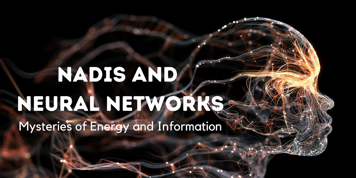 Nadis and Neural Networks. In the quest to understand the… | by ...