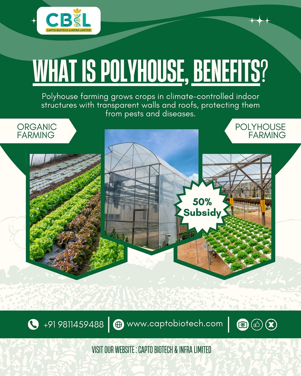 🌱Is Polyhouse Farming Beneficial for The Indian Farmer?🌱 - Capto ...
