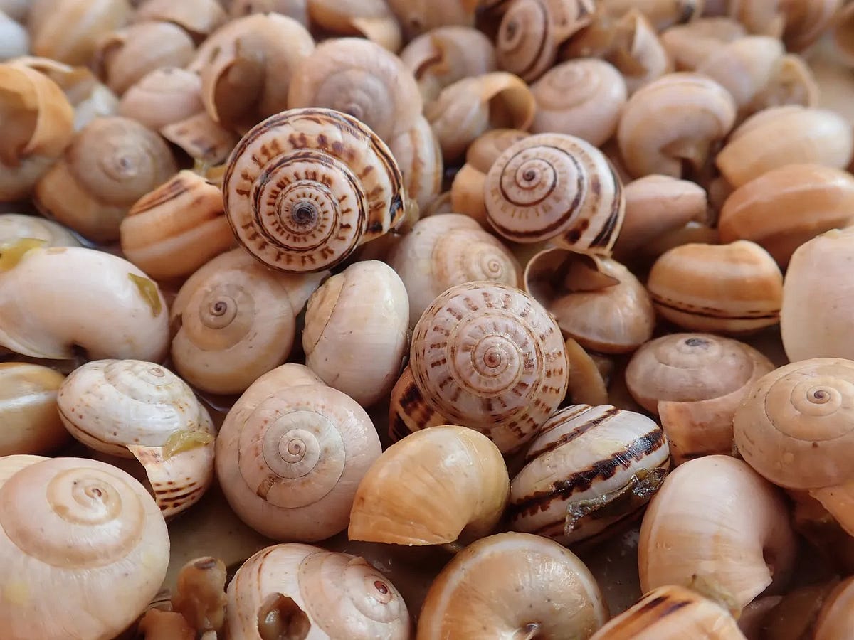 Caracóis: 10 Restaurantes para Petiscares | by zomato Portugal | Zomato ...