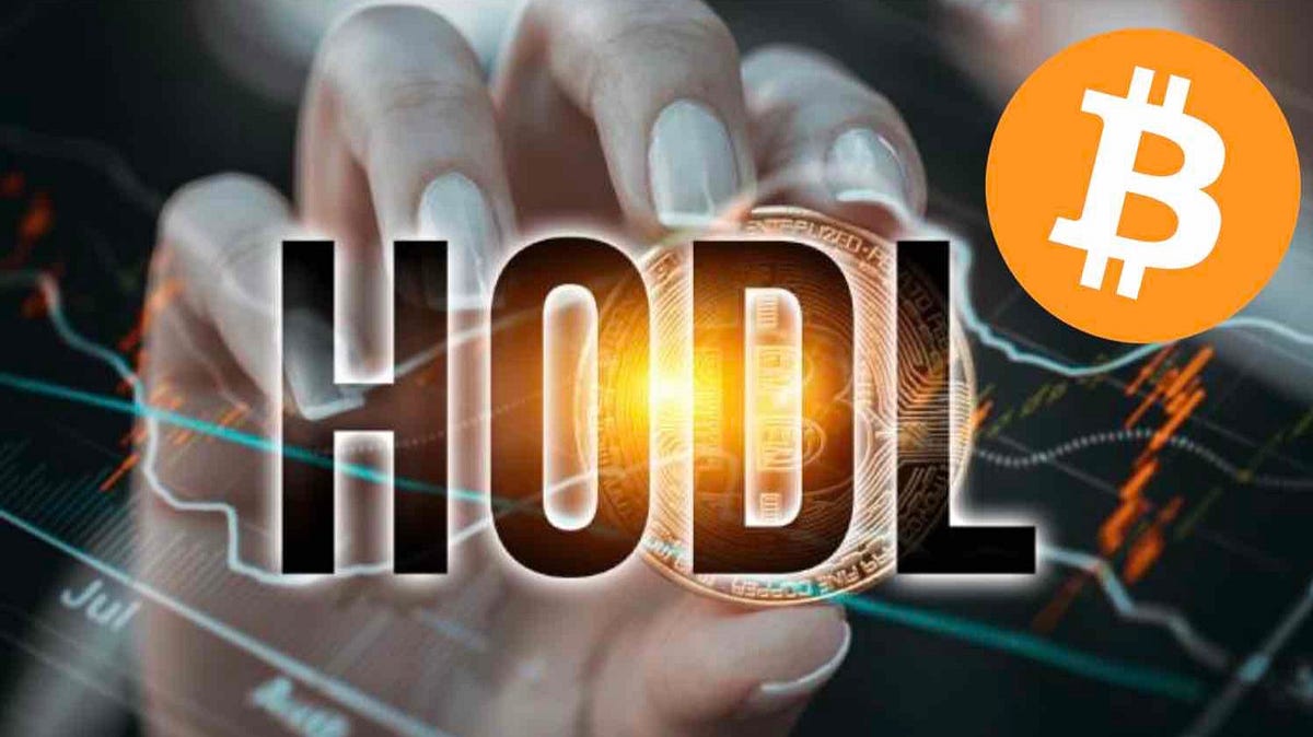 The Bitcoin HODL Mindset. There is fear and uncertainty in the… | by ...