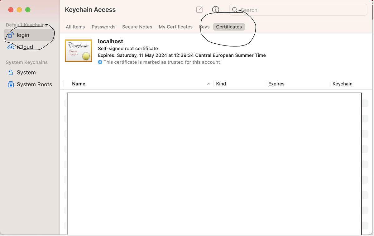 How To Configure In A Nodejs Express App A Server Localhost 