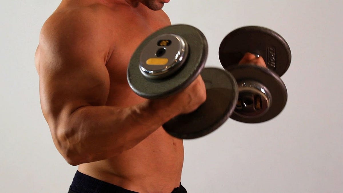 Bodybuilding for beginners: Creating a workout plan | by The Bily | Medium
