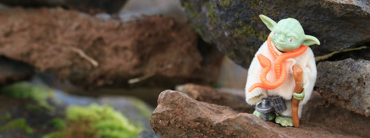 Do your leadership qualities stand out in a crowd? | by Paulette Luftig ...