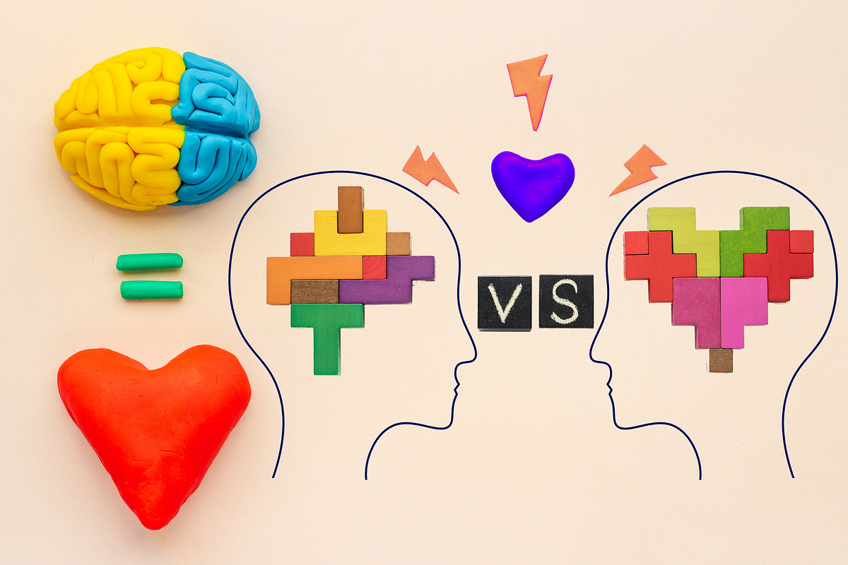 The 4 Different Personality Trait Systems in the Brain That Drive ...