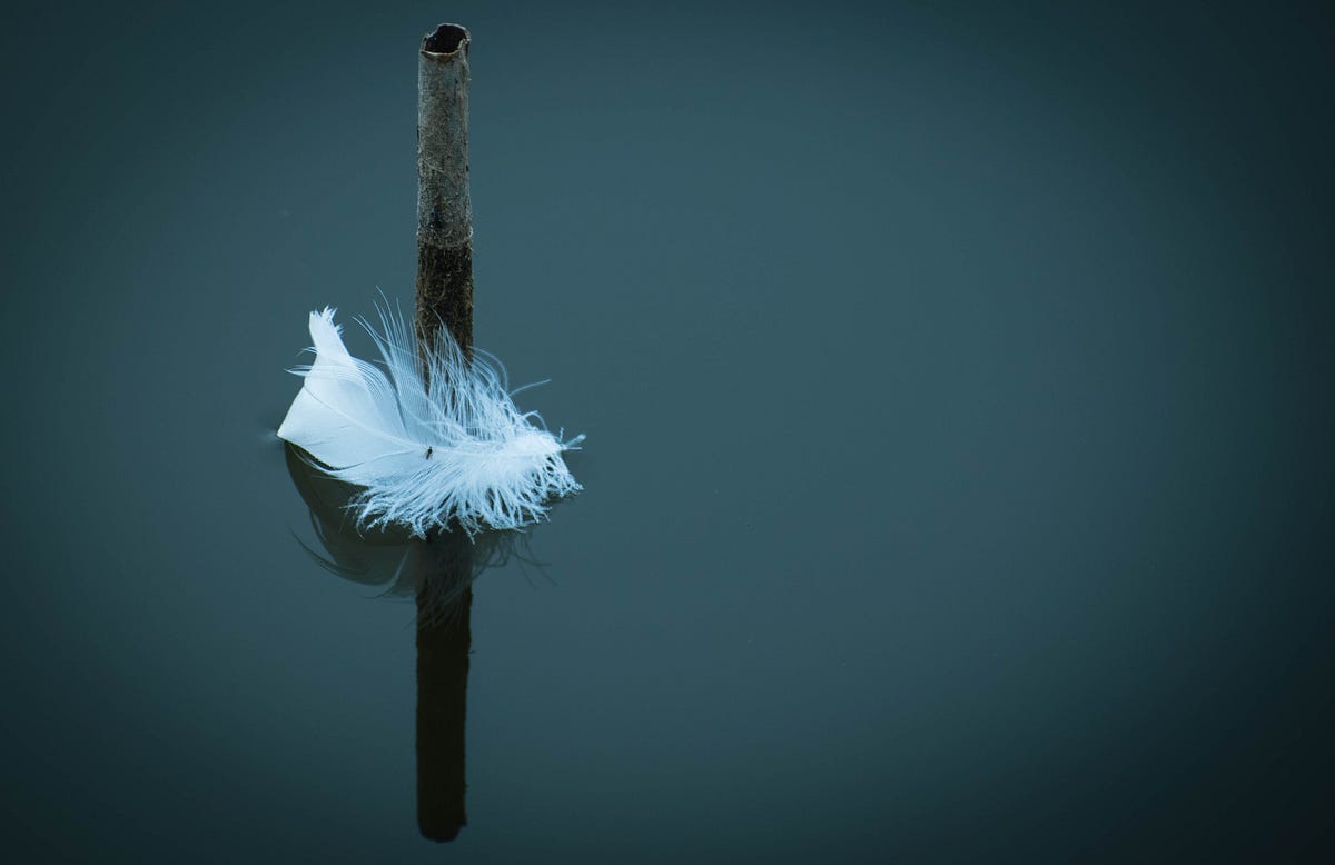 The calm of the dawn, as the world awakes - Daily Poems 🫀 - Medium