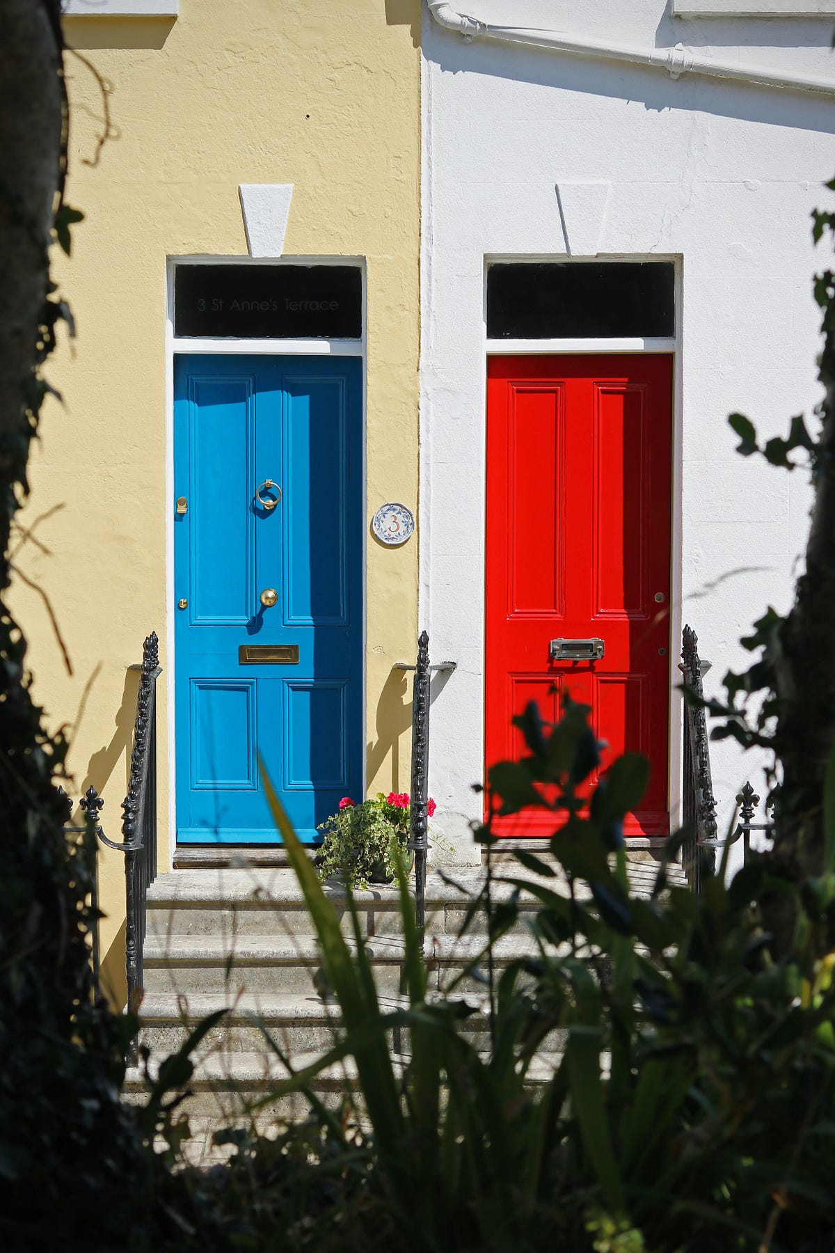 Do You Know the Difference Between Preference and Choice? | by Elaine ...