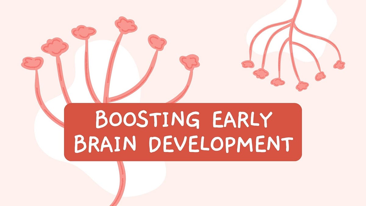 5 Tips for Boosting Early Brain Development | by M. Anns Khan | Nov ...