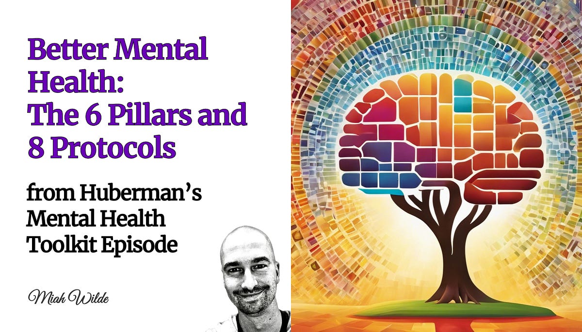 Better Mental Health: The 6 Pillars and 8 Protocols | by Miah Wilde ...
