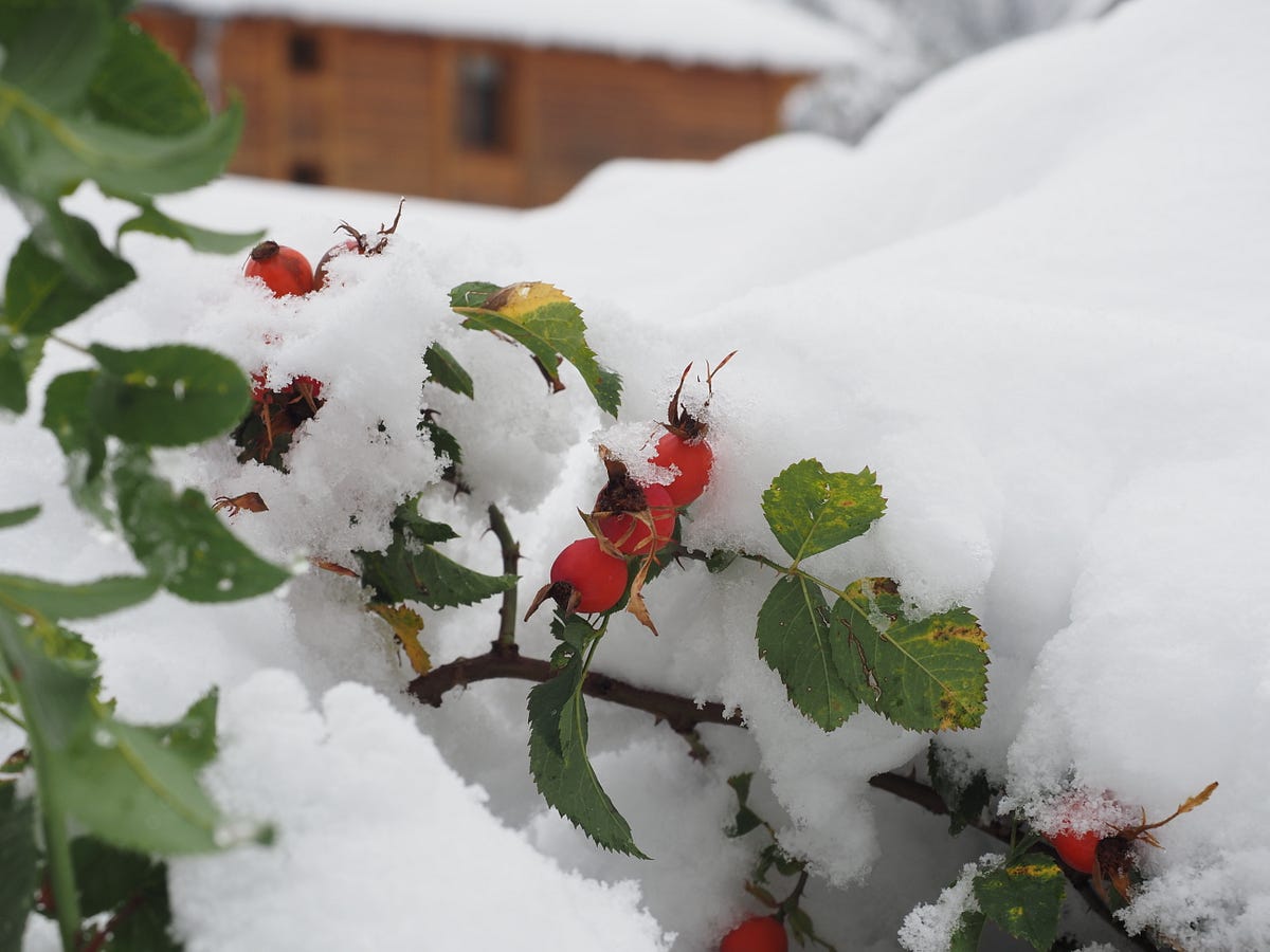 Changing seasons — reflection & activation | by RB | Greaterthan | Medium