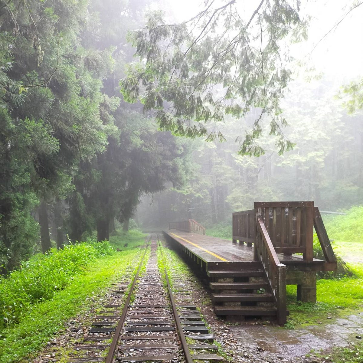 Diary | A Forgotten Train Station in the Forest | by Purple Rose | Medium