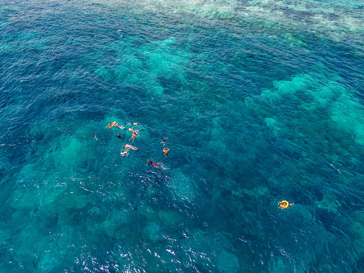 How to code your own stock backtester [PART 0: Background] | by Lucas ...