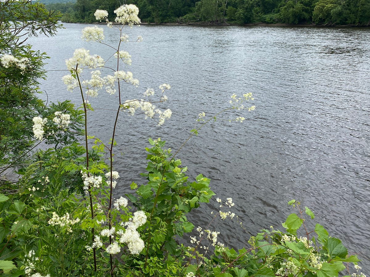 Caught In A Summer Breeze. Hybrid poem: the colour of your… | by ...