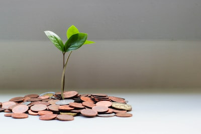 How I made my first Six-Figures online at 16 | by Praise Armstrong | Medium