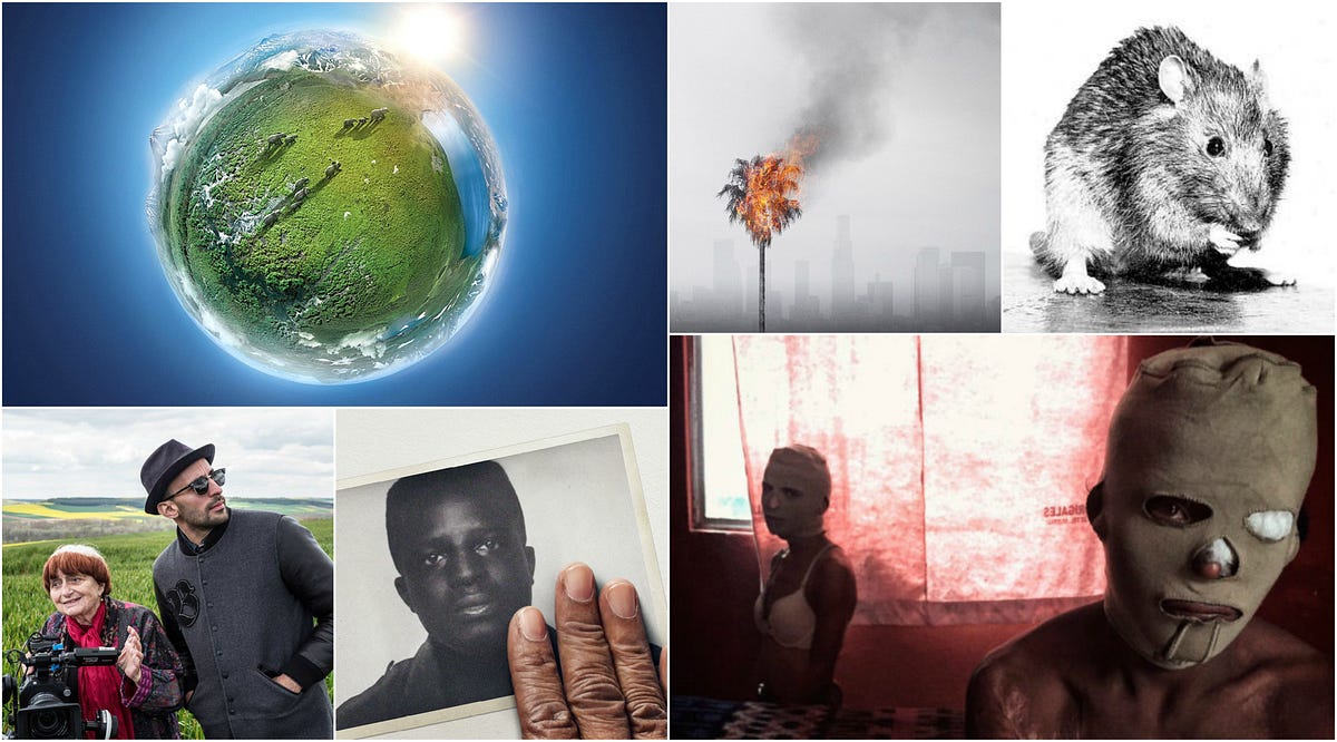 Top 2017: Documentales. El cine documental ha encontrado en la… | by ...