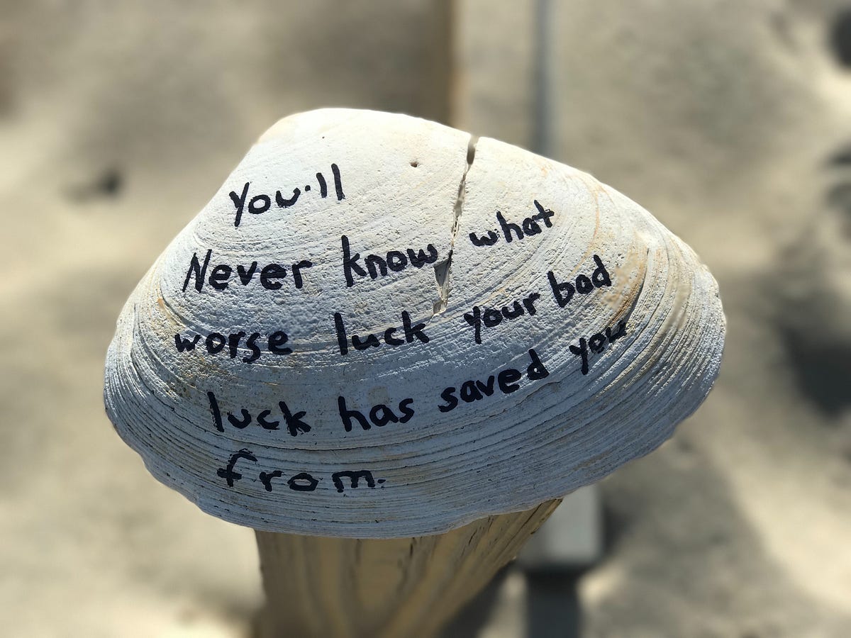 Proof Of Life. How a scar can be a talisman | by Ann Litts | Queen’s ...