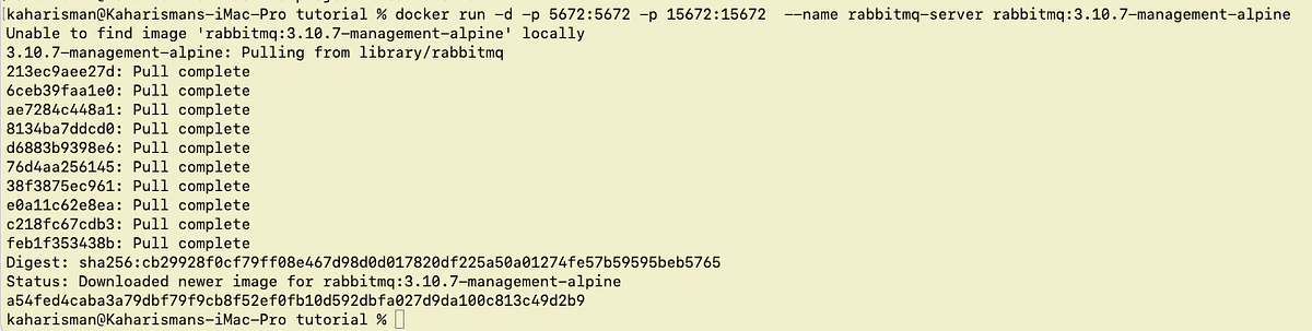 Implementasi RabbitMQ pada NodeJS Dengan Framework Express | by Kaharisman | Medium