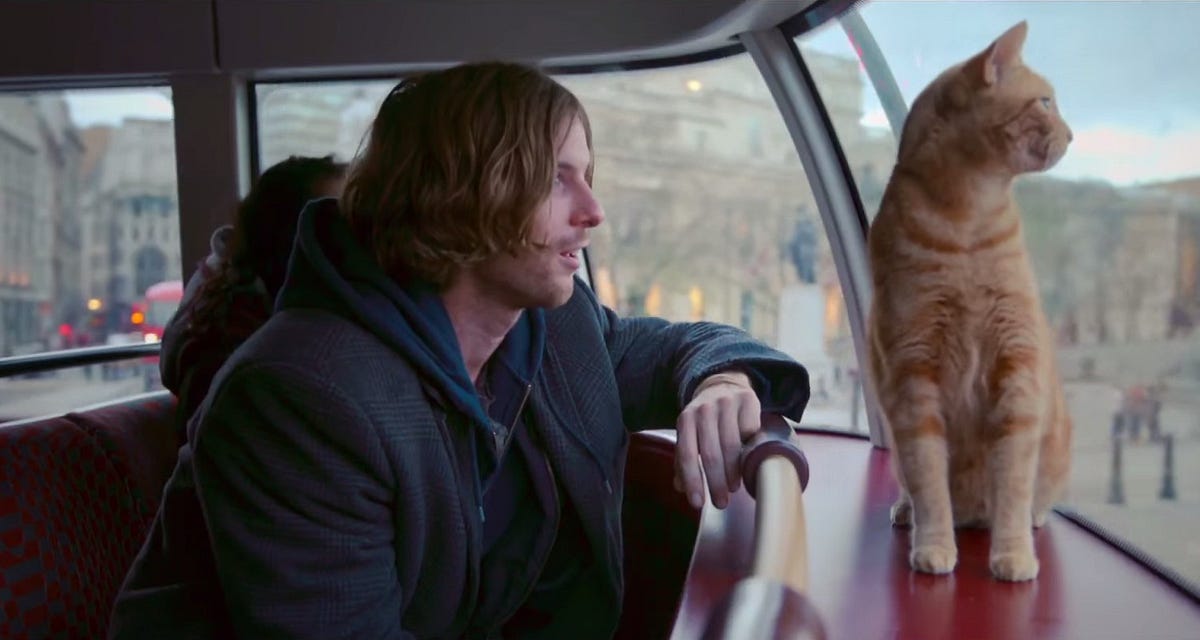 A Boy And His . . . Cat. Film Review: “A Street Cat Named Bob” | by ...
