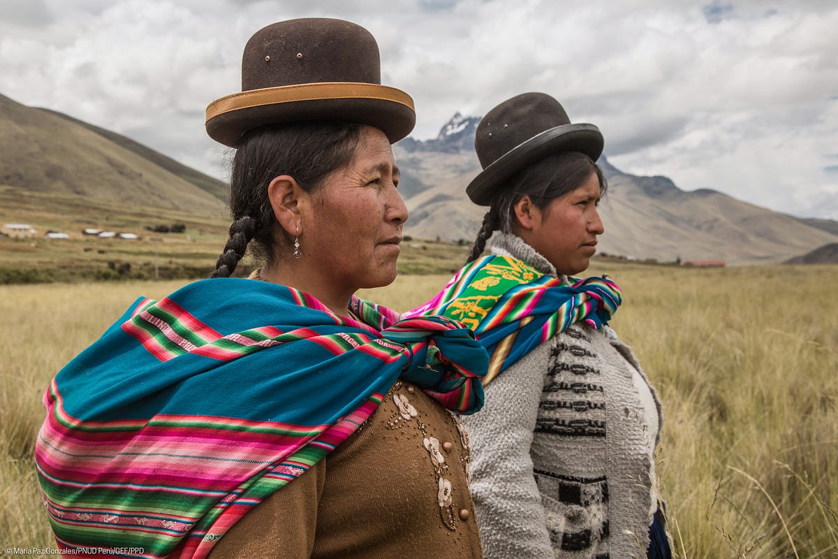 Defenders of a sustainable future | by PNUD Perú | Medium