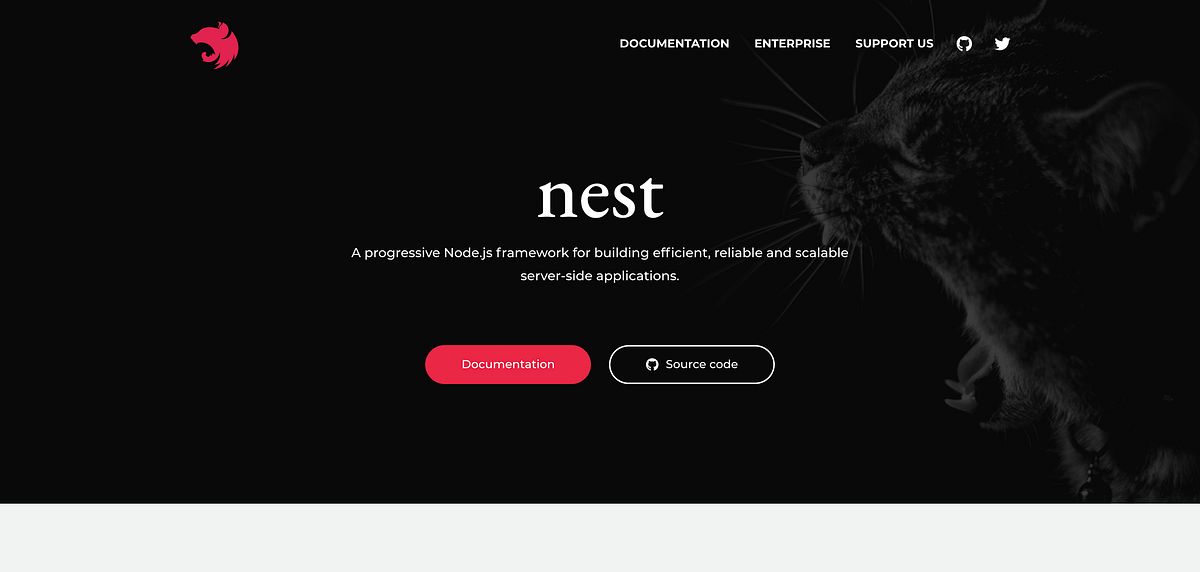 NestJS demo — Introduzione. Introduzione a NestJS | by Gabriele Cristoni | Medium