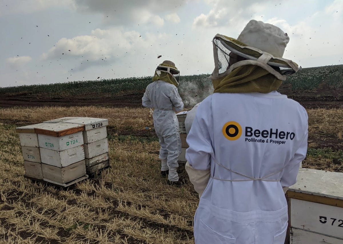 Our Investment in BeeHero — Transforming Agriculture Through Frontier ...