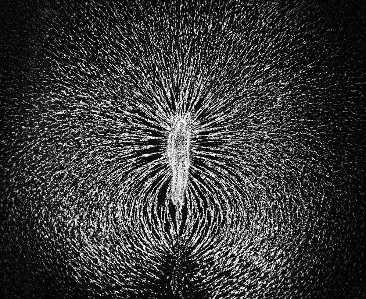 Desolation; Impregnation. It is often customary for a walking man… | by ...