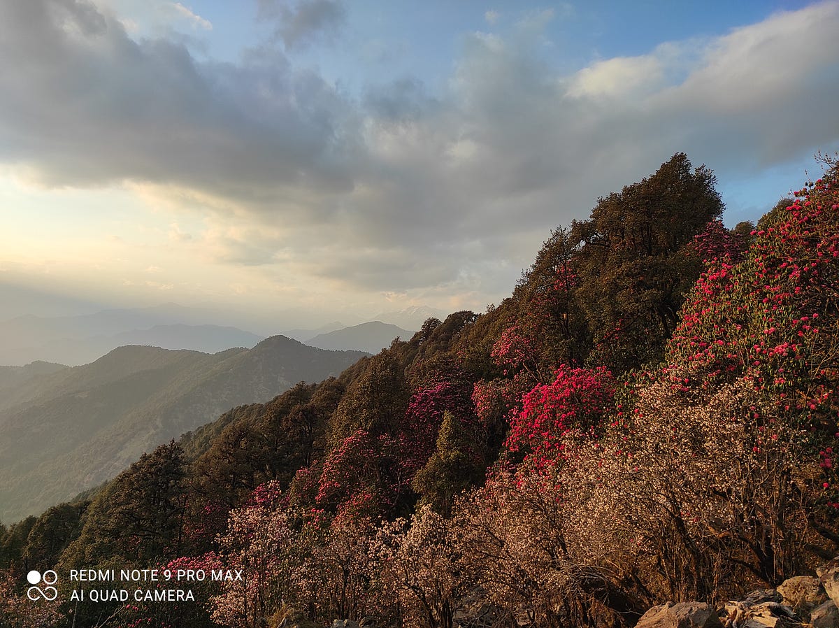 Perfect 3 Day Adventurous getaway from Delhi — Chopta Tungnath ...