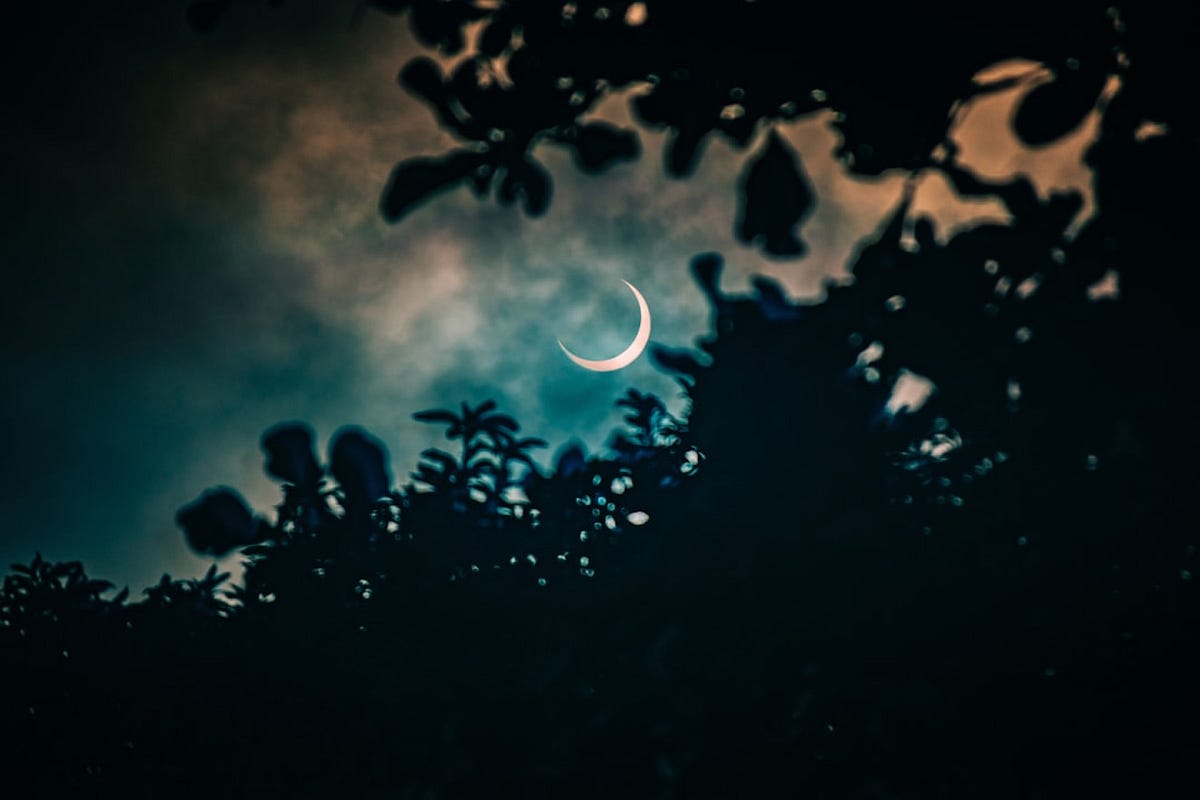 When I Wanted to Say Moon but Spoke of the Sunset | by Namrata Parab ...