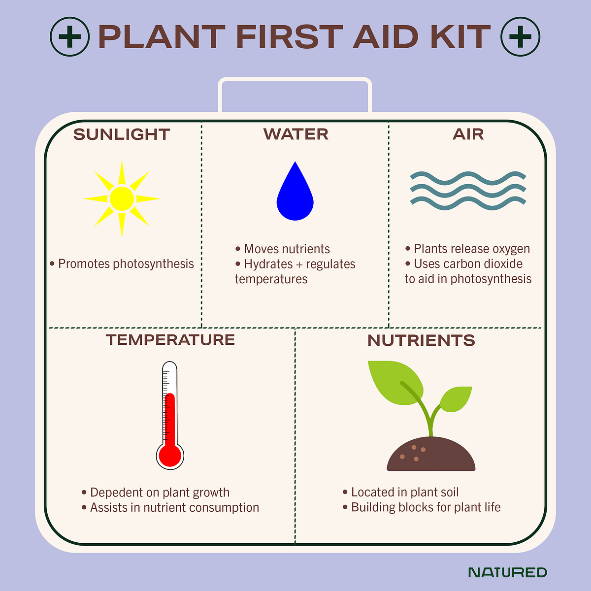 Plant Principles 101. Principles / 101 (Light, water, temp… | by ...