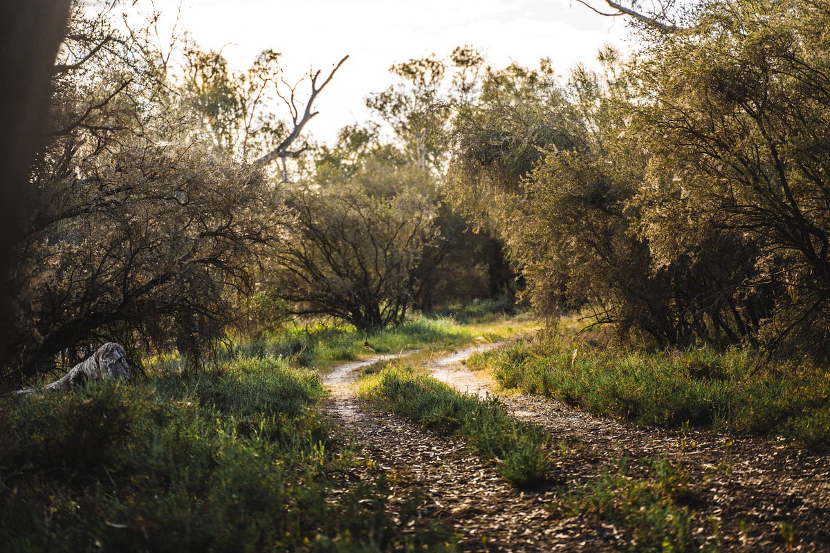 Looking Back on a Life | Medium