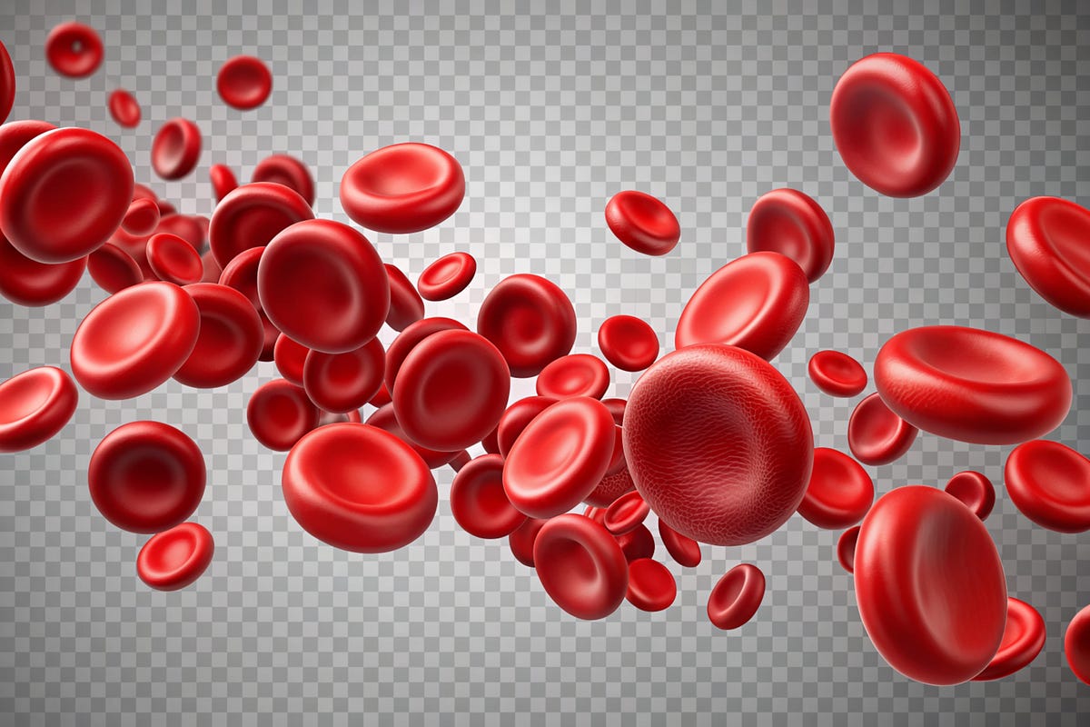 Essential Tips for Improved Blood Flow and Overall Health | by ...