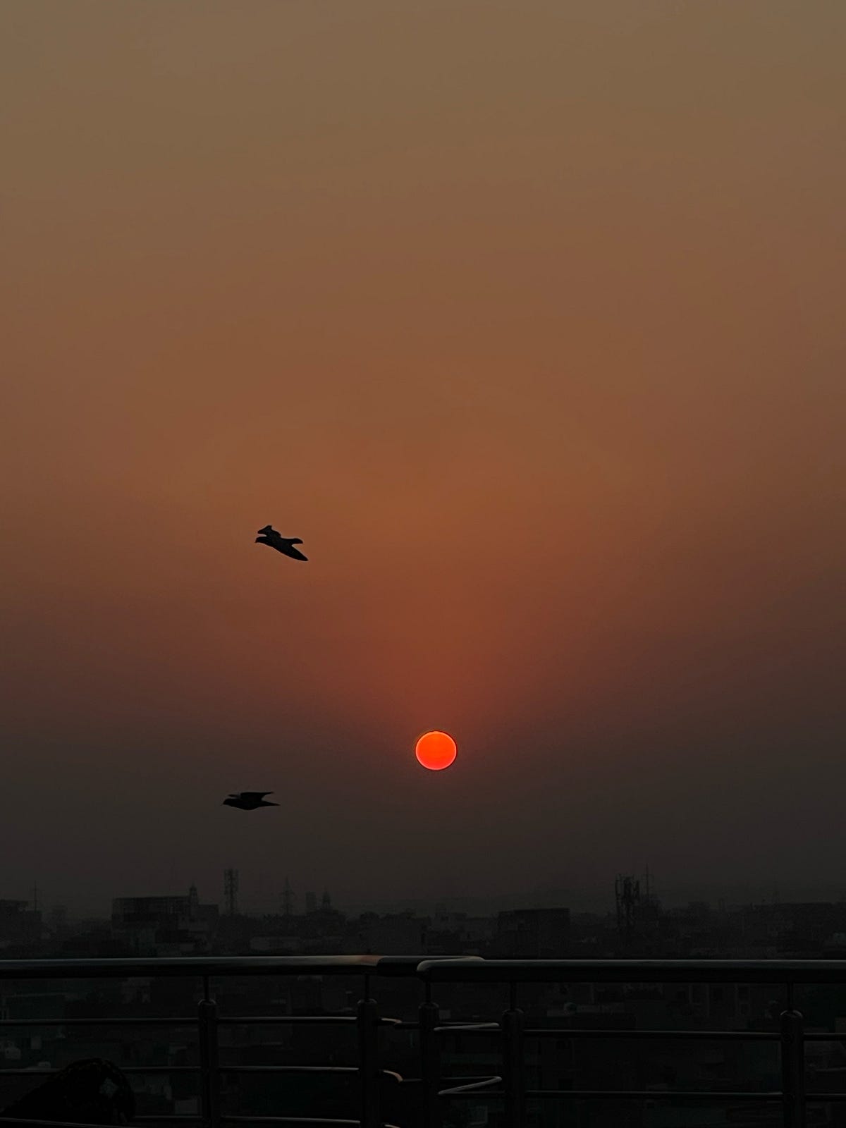 Like a Sunset: Quiet, Beautiful, and Transformative | by Tila Karim ...
