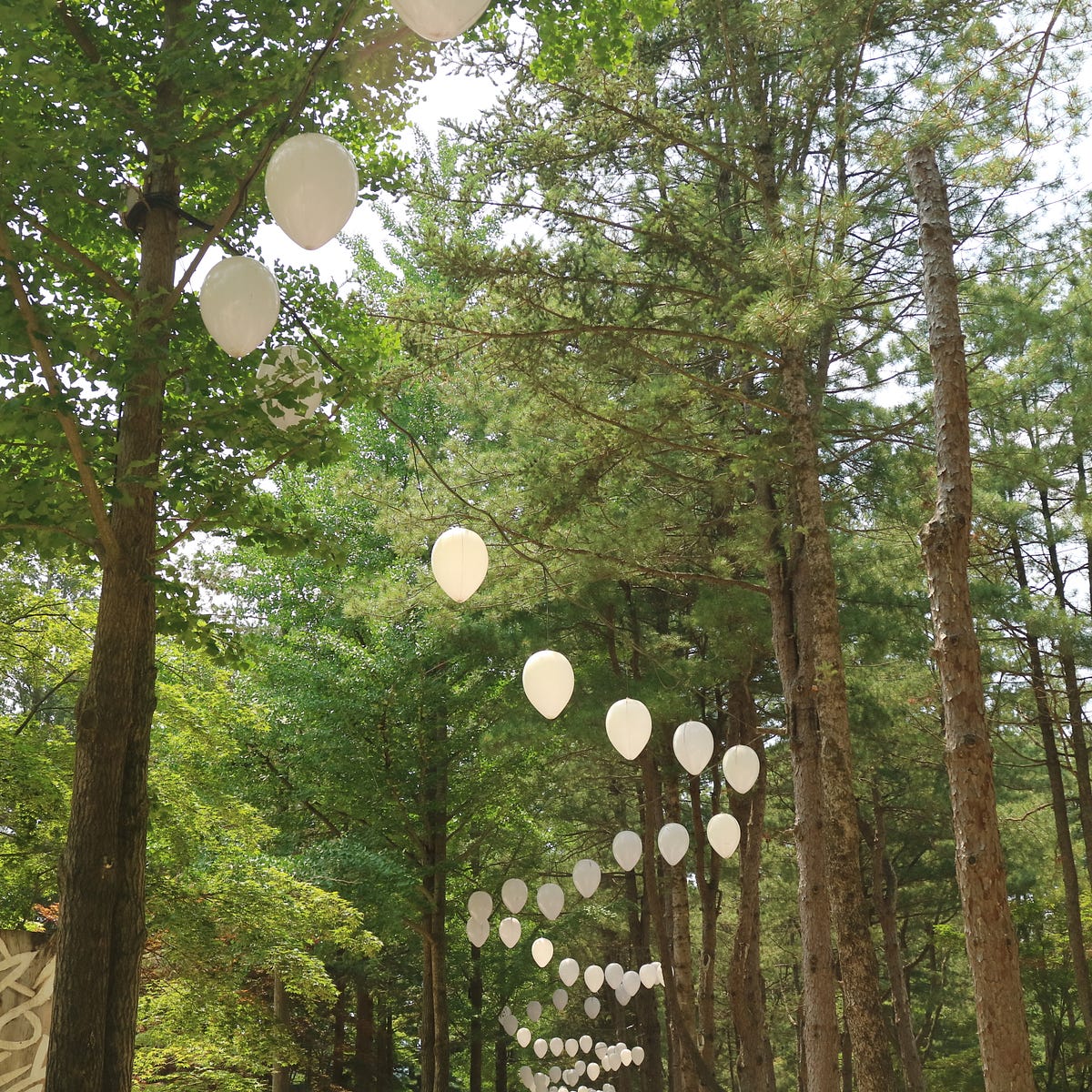 Kalah terus, nyerah aja kali, ya? | by Arsya | Medium