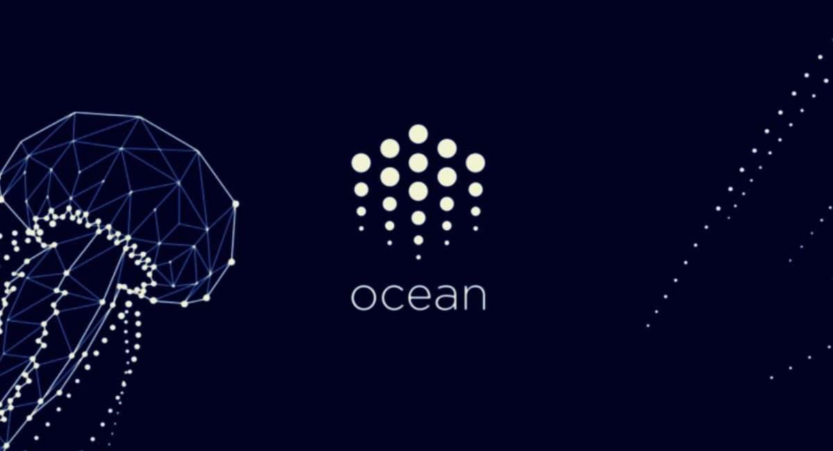 What are Ocean Nodes Ocean Nodes are a core component of the Ocean ...