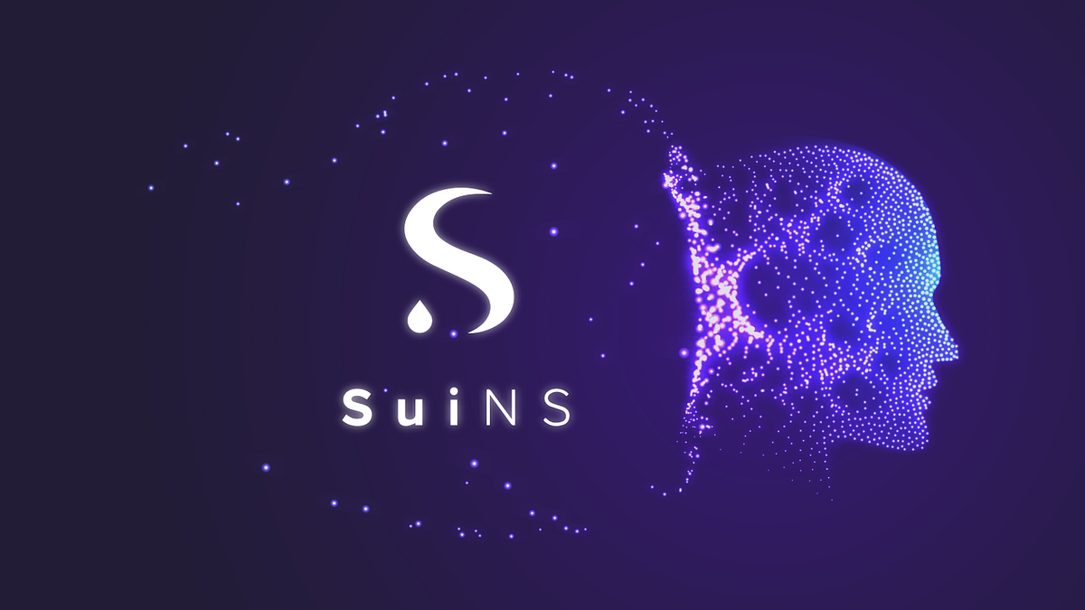 Everything You Need To Know About Sui Name Service SuiNS | by Chloe ...