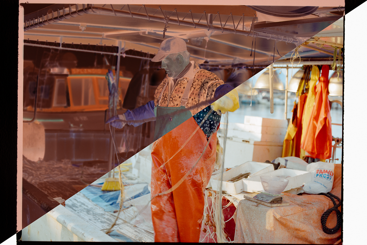 Converting Negatives to Positive Photographs: Easy, Medium, and Hard ...